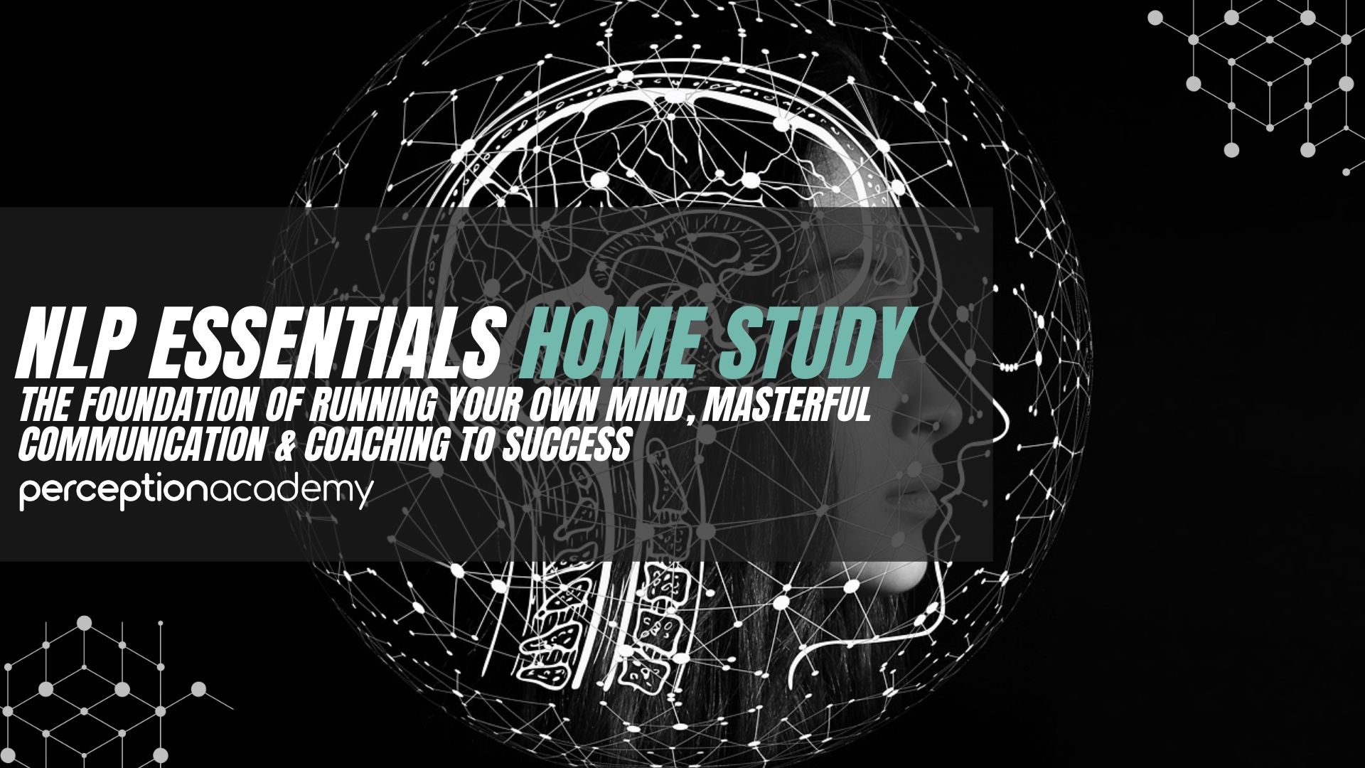 Courses – Perception Academy