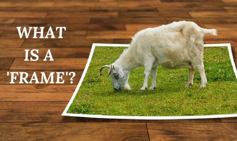 What is a psychological 'frame'? - Perception Academy