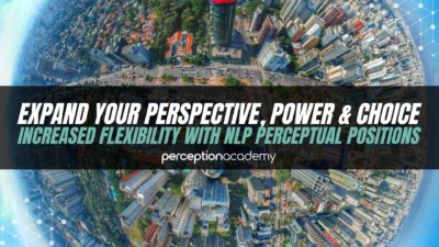 Perceptional Positions – Perception Academy