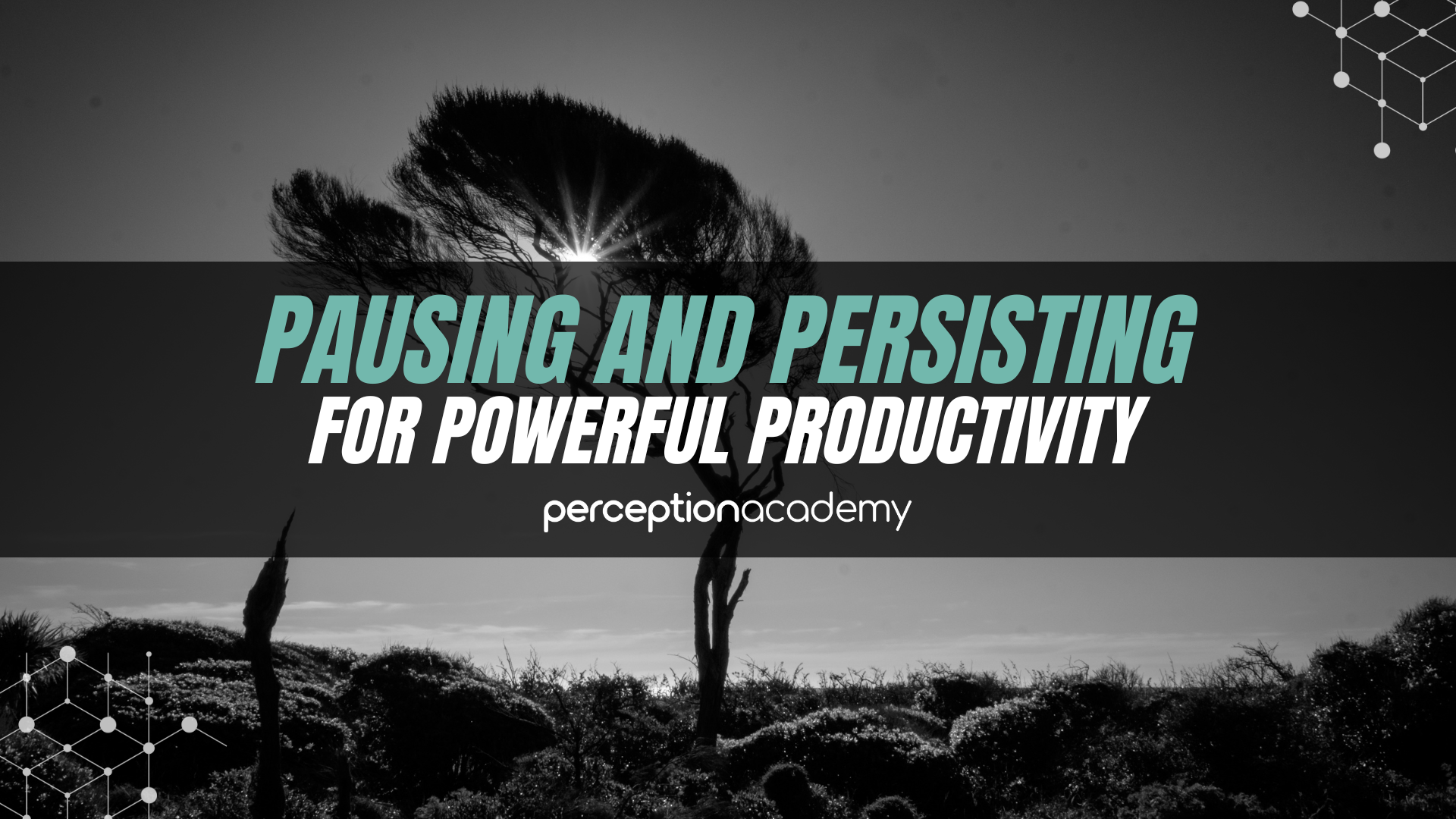 Pausing and Persisting for Powerful Productivity
